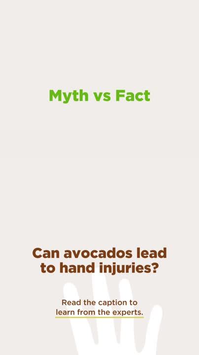 Avocados Love One Today 🥑 On Linkedin Avocadofacts Avocados