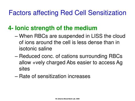 Ppt Sensitization And Agglutination Powerpoint Presentation Free