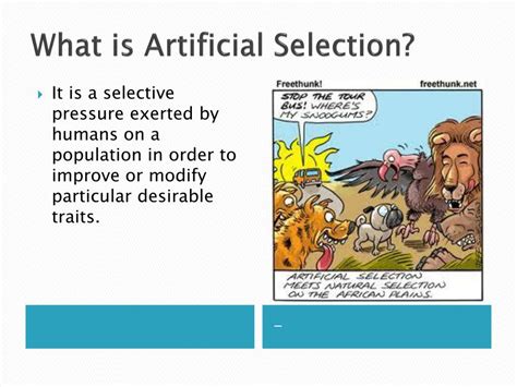 Ppt Artificial Selection Powerpoint Presentation Free Download Id 4413283