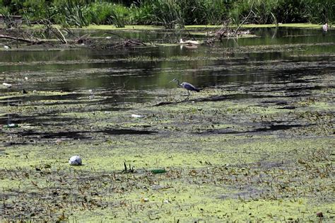 Tunca Nehri nde debi düştü kirlilik göründü Dünya Gazetesi