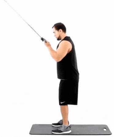 Reverse Grip Pushdown Triceps