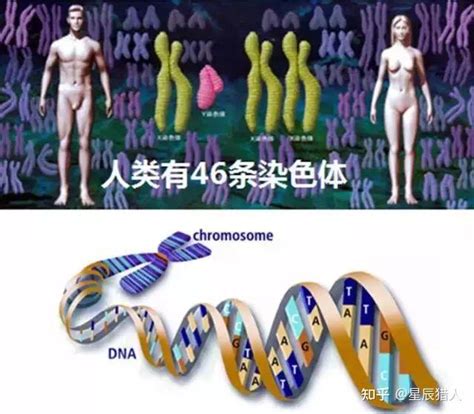 Science公布：全世界最前沿的58个生命科学问题，看看有没有你好奇的？ 知乎