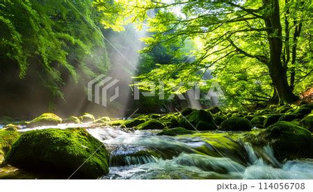 Pixta