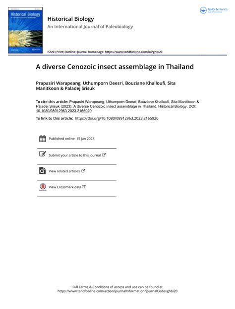 Pdf A Diverse Cenozoic Insect Assemblage In Thailand