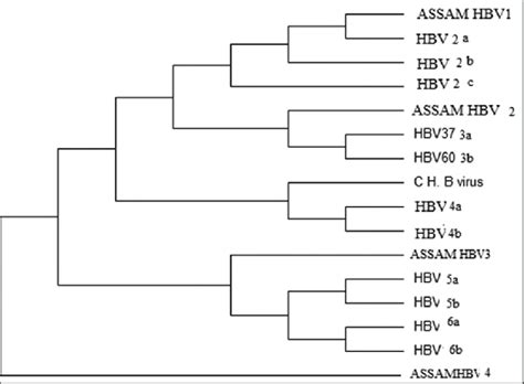 Phylogenetic Analysis Using The Expasy Software Tool Randomly