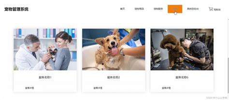 java计算机毕业设计宠物管理系统计算机（附源码、数据库） 计算机应用技术 企业开发与应用 宠物管理项目 csdn博客