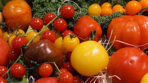 Tomaten Unverfälschter Genuss und ganz viel Farbe Gabot de