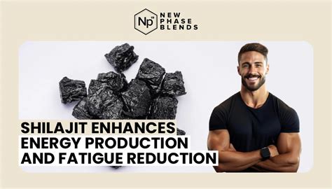The Science Behind How Shilajit Works Research Explained