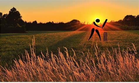 Cricket Sunset Free Photo On Pixabay Pixabay