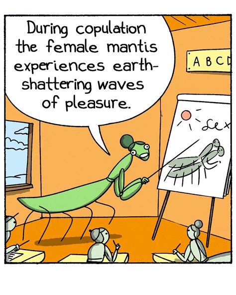 Bug School Album On Imgur