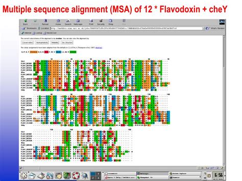 ppt multiple sequence alignment why powerpoint presentation free
