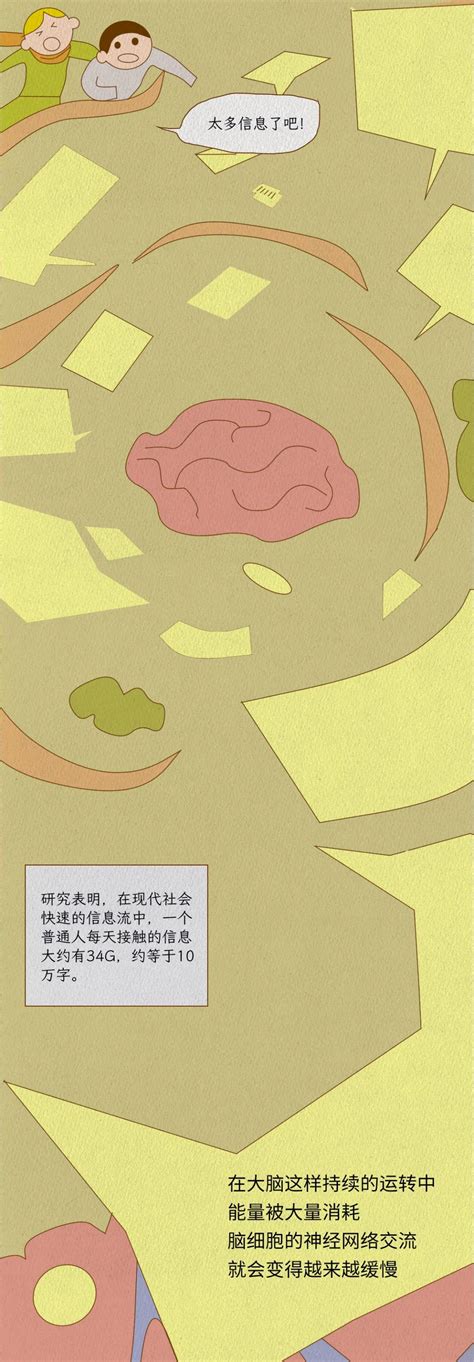 为什么明明没做什么，却总感觉很累？ 果壳 科技有意思
