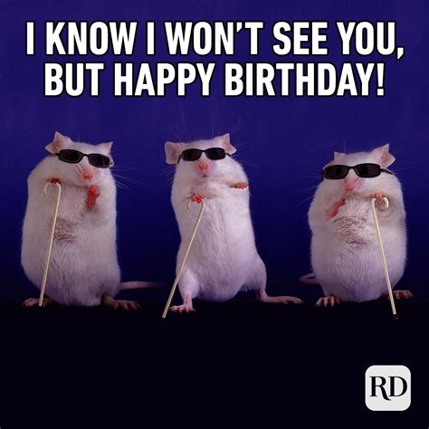 52 Of The Funniest Happy Birthday Memes Artofit