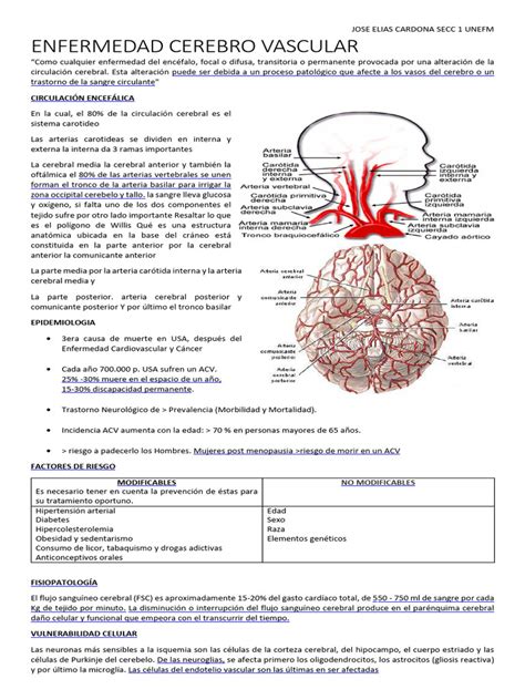 Tema 7 Enfermedad Cerebro Vascular Pdf Isquemia Carrera