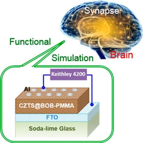 Optoelectronic Memristive Synapse Behavior For The Architecture Of Cu2znsns4 Biobr Embedded In