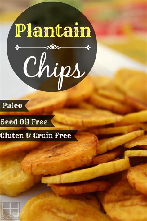 Plantain Chips Hollywood Homestead