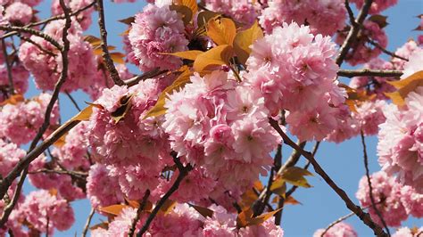 The Problem With Guids