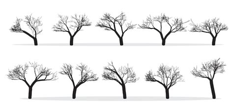 Página 6 Imagens Nature Naked Vetores fotos de arquivo e PSD grátis