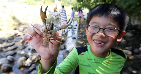 직접 가재 잡아요