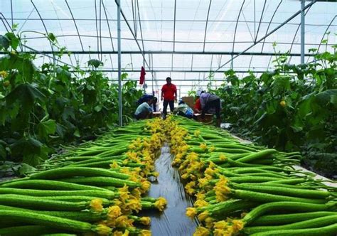 菏澤又一地獲國家級稱號！全省僅6地入選 每日頭條