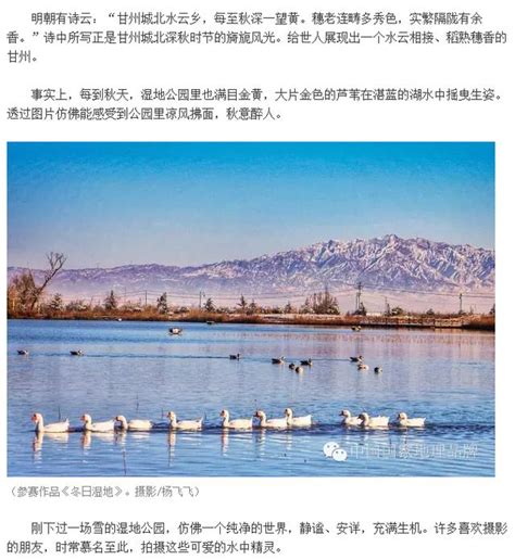 隱藏在中國西北的一座小城，卻在荒漠裏綻放出一朵 「奇葩」~ 每日頭條