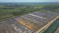 Geber Program Cetak Sawah Merauke Bakal Jadi Lumbung Pangan