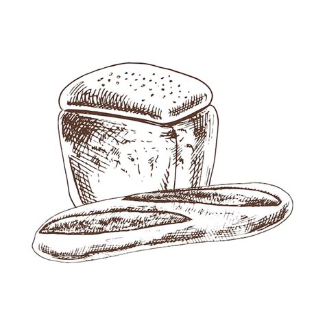 Dibujo A Mano Ilustración De Pan Y Baguette Icono De Boceto Y Elemento