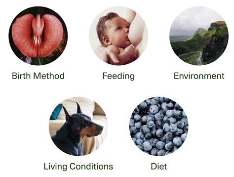 Exploring The Oral Microbiome The Hidden World In Your Mouth • Seed