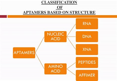 Aptamers Based Drug Delivery Pdf