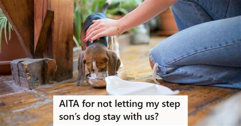 Her Stepsons Mom Kept Dropping Off His Puppy Without Asking So She Told Her Husband To Set