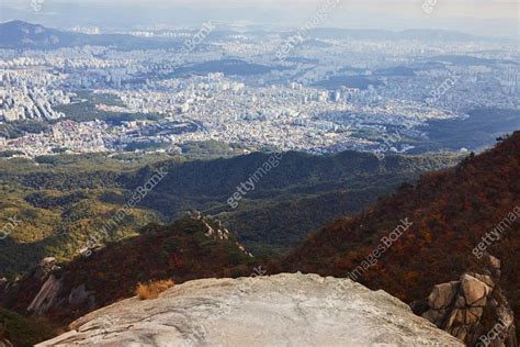가을 계절 단풍나무 낙엽수 나무 숲속 산림지역 자연풍경 단풍철 백그라운드 주제 이미지