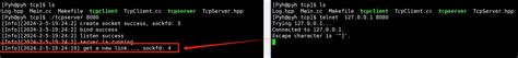 Linux网络编程——tcp套接字