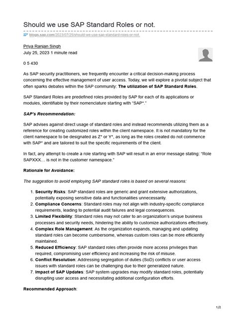Should We Use Sap Standard Roles Or Not Pdf Computing Information