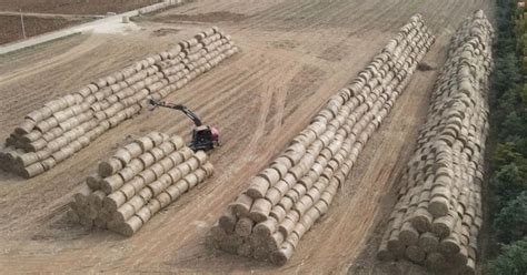 经开动态｜变“柴”为“财” 秸秆成了“香饽饽” 经开生物能源高效推进玉米秸秆收储进程 公司要闻 新闻资讯 山东宁阳经济开发区发展集团有限公司