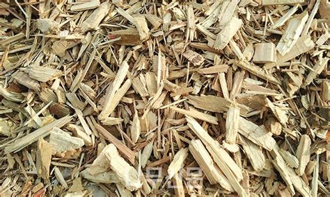 폐목재 재활용 산업에 밀려오는 검은 쓰나미 네이버 포스트