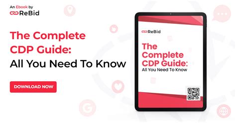 The Complete CDP Guide All You Need To Know Ebook Rebid