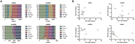Multiple Transcriptome Analyses Reveal Mouse Testis Developmental Dynamics Pmc