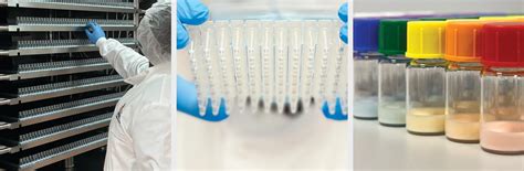 Solutions For Lyophilization Neb