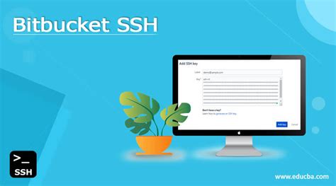 Bitbucket Ssh Learn How We Can Set Up Ssh On Windows