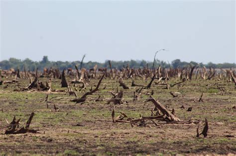 Asociacion Ecologista Rio Mocoreta El Rio Uruguay Esta Bajo En La