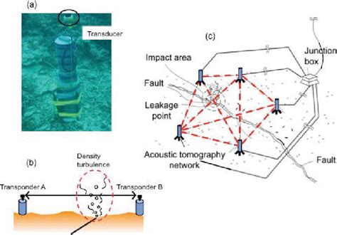 Figure 1 From Strategies For Detection And Monitoring Of Co2 Leakage In