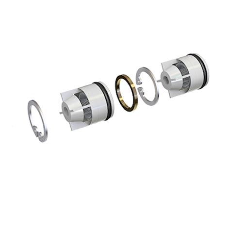 Reliable Check Valve Insert For Secure Flow Control Salco