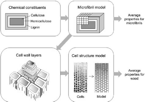 Figure 3 From Hierarchical Modelling Of Microstructural Effects On