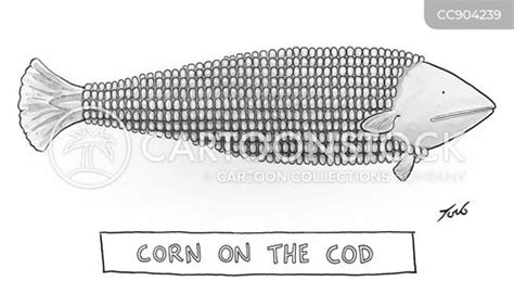 Corn On The Cob Cartoons And Comics Funny Pictures From Cartoonstock