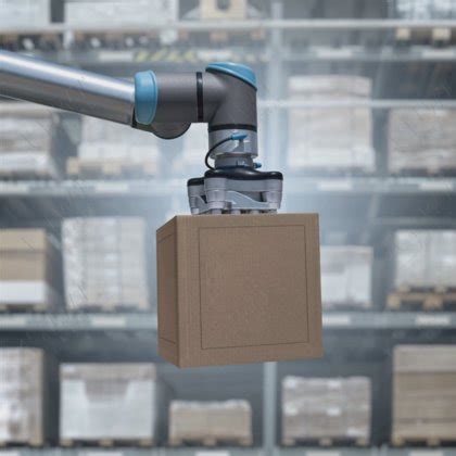 LWT Collaborative Robot Palletizer Pick And Place Palletizing System For Cobot Palletizer Price
