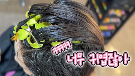 너무 귀엽잖아 YouTube