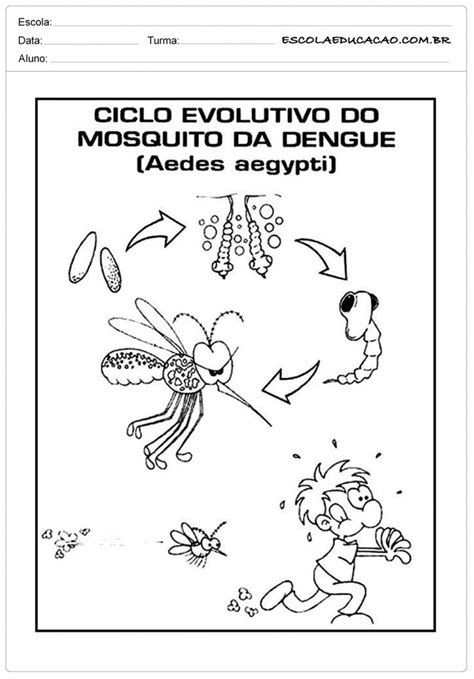18 Atividades sobre a Dengue Para Imprimir Inéditas
