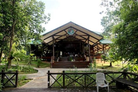 3d2n Proboscis Lodge Bukit Melapi Ex Sukau Package 2020 Mango