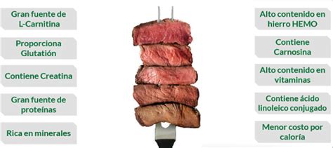 Los 10 Beneficios Del Consumo De Carne Bovina Agroglobal