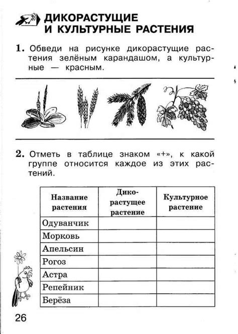 Раскраска какие бывают растения
